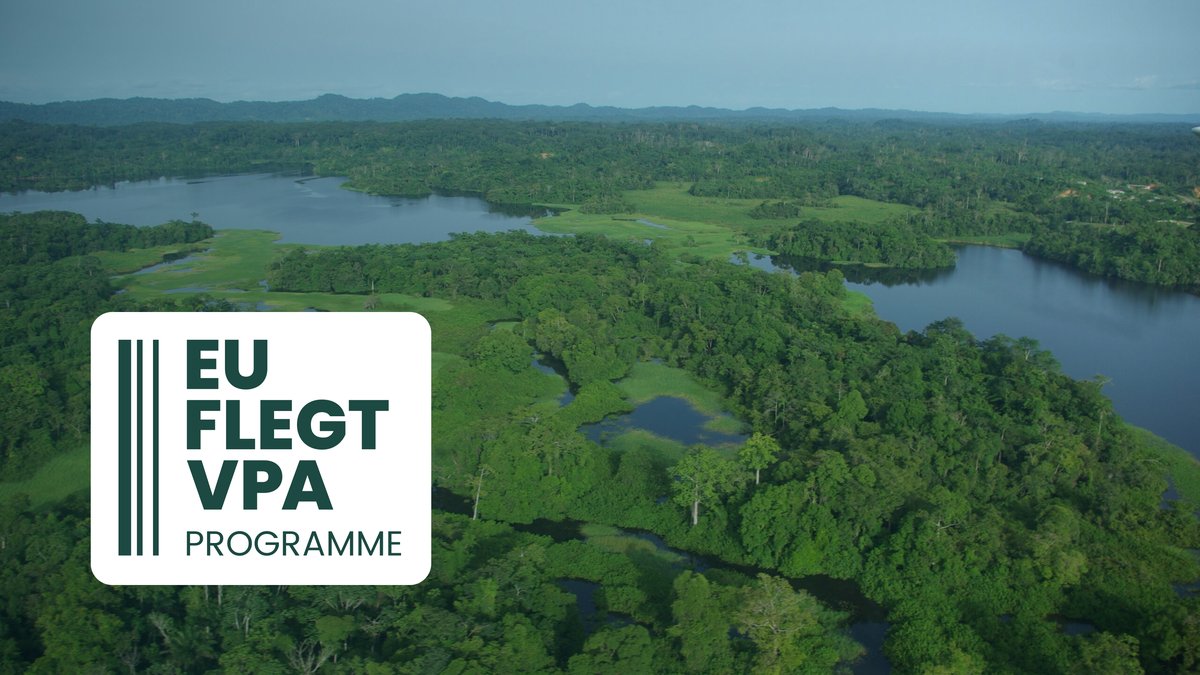 The EU FLEGT VPA Programme